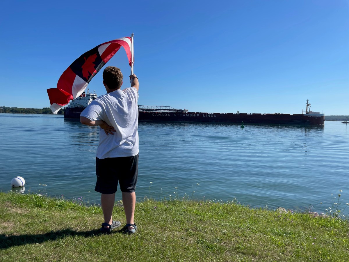 Laker Fanboys – RedDog on Wheels